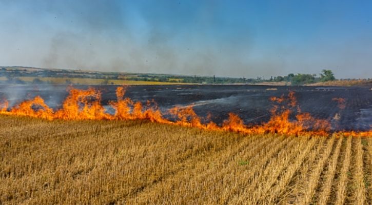 'Takachar' Machine By Vidyut Mohan Cuts 95% Smoke Emissions, Curbs Air ...