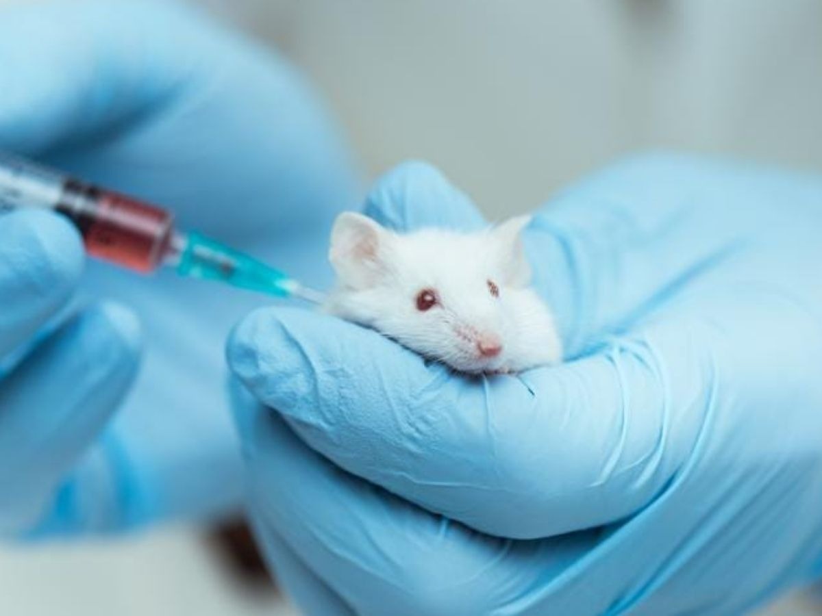 New Drug Reverses Paralysis In Mice, Could Save Over 3 Lakh Human Lives ...