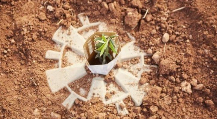 These Cocoons Help Seeds Grow Faster, Hold Water For 90 Days Underground