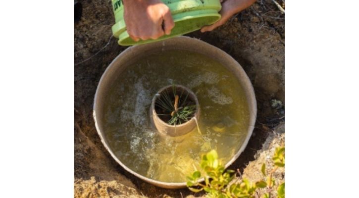 These Cocoons Help Seeds Grow Faster, Hold Water For 90 Days Underground