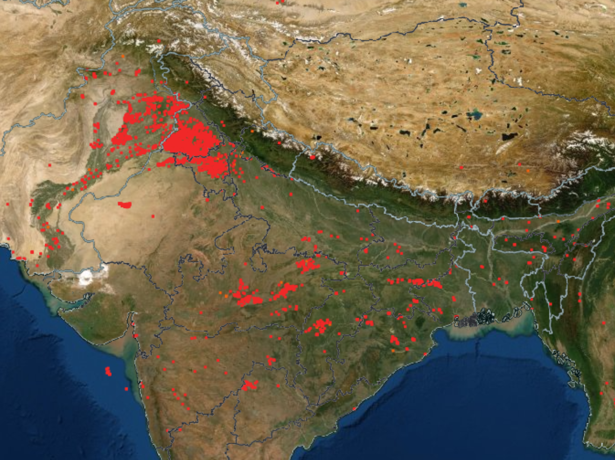 Delhi Air Pollution: NASA Map Shows Large Number Of Farm Fires In ...