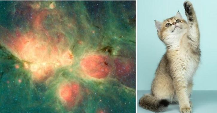 Feline Supremacy! NASA Shares Stunning Image Of 'Cat's Paw Nebula'