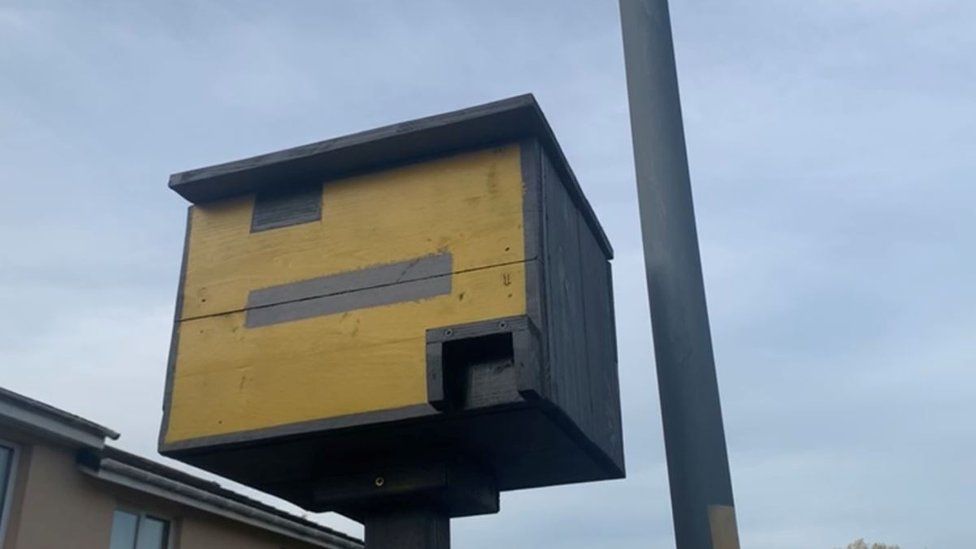 Man Disguises Bird Box As Speed Camera To Keep Speeding Drivers In Check