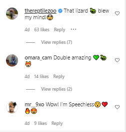 Rare Lizard With Two Heads Found In Australian Zoo