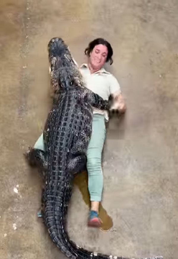 Alligator Hugs Woman And Then This Happened