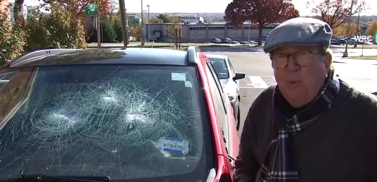 Reporter Pat Collins' Hilariously Dramatic Segment On Vandalism Goes Viral