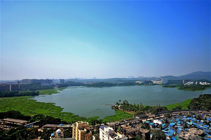 Mumbai's Youth Is Coming Together To Save The Powai Lake Where A ...