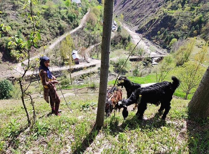 J&K Gets Ready To Bring Tourists To The LoC By Promoting 'Border Tourism'