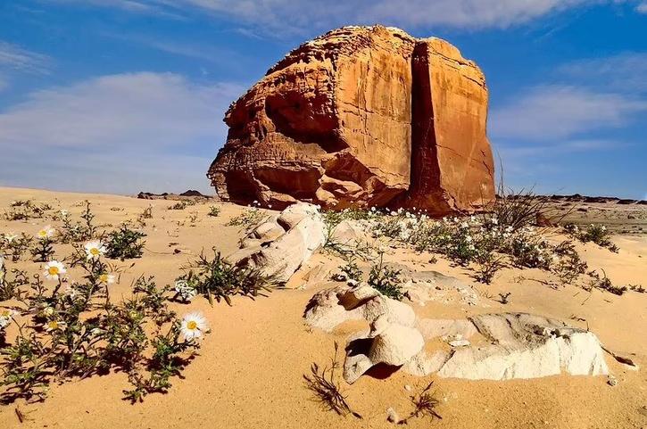 Al Naslaa Rock Perfectly Split Into Two Divides The Internet