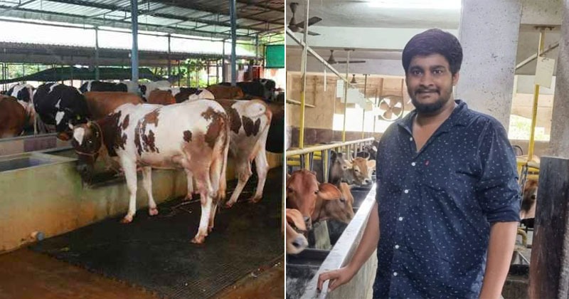 Man Leaves Civil Engineering Job To Set Up Dairy Farm