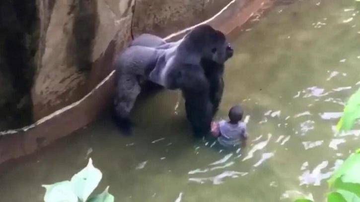 Harambe's Statue Installed At Wall Street