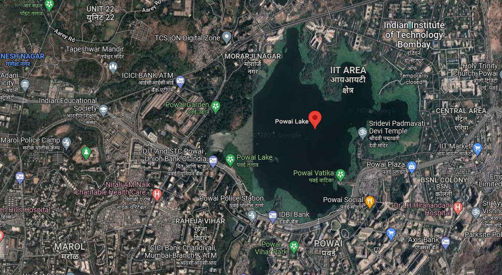 Mumbai's Youth Is Coming Together To Save The Powai Lake Where A ...