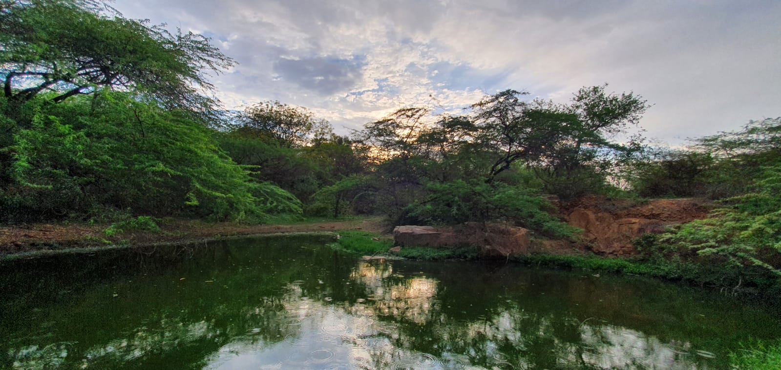 Delhi Is Taking Some Urgent Measures To Reduce Pollution To Make The ...