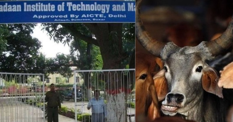 फीस में 5 गाय लेकर B.Tech करवाने वाला कॉलेज हुआ सील, नहीं चुका पाया ...