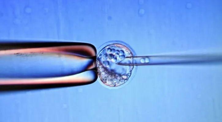Scientists Can Now Grow Bigger Human Embryos In Labs To Unlock Health ...