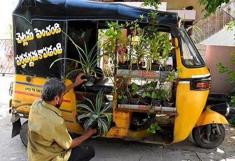 Tirupati Auto Driver Conserves Nature By Keeping Plant Saplings In Vehicle