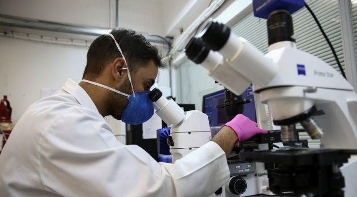 Scientists Discover Snake Venom That Kills Covid-19, With No Harm To Humans