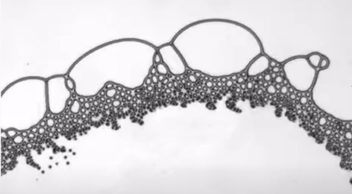 Scientists Defy Nature To Create Square Droplets To Better Understand ...