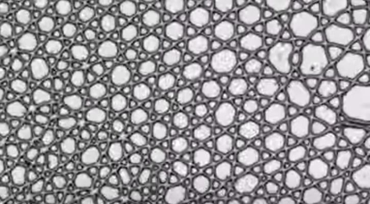 Scientists Defy Nature To Create Square Droplets To Better Understand ...