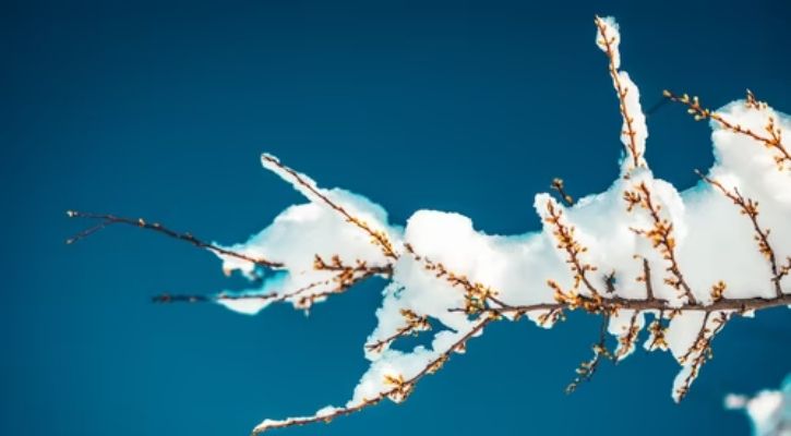 Scientists 'Create' World's Coldest Temperature Inside Lab