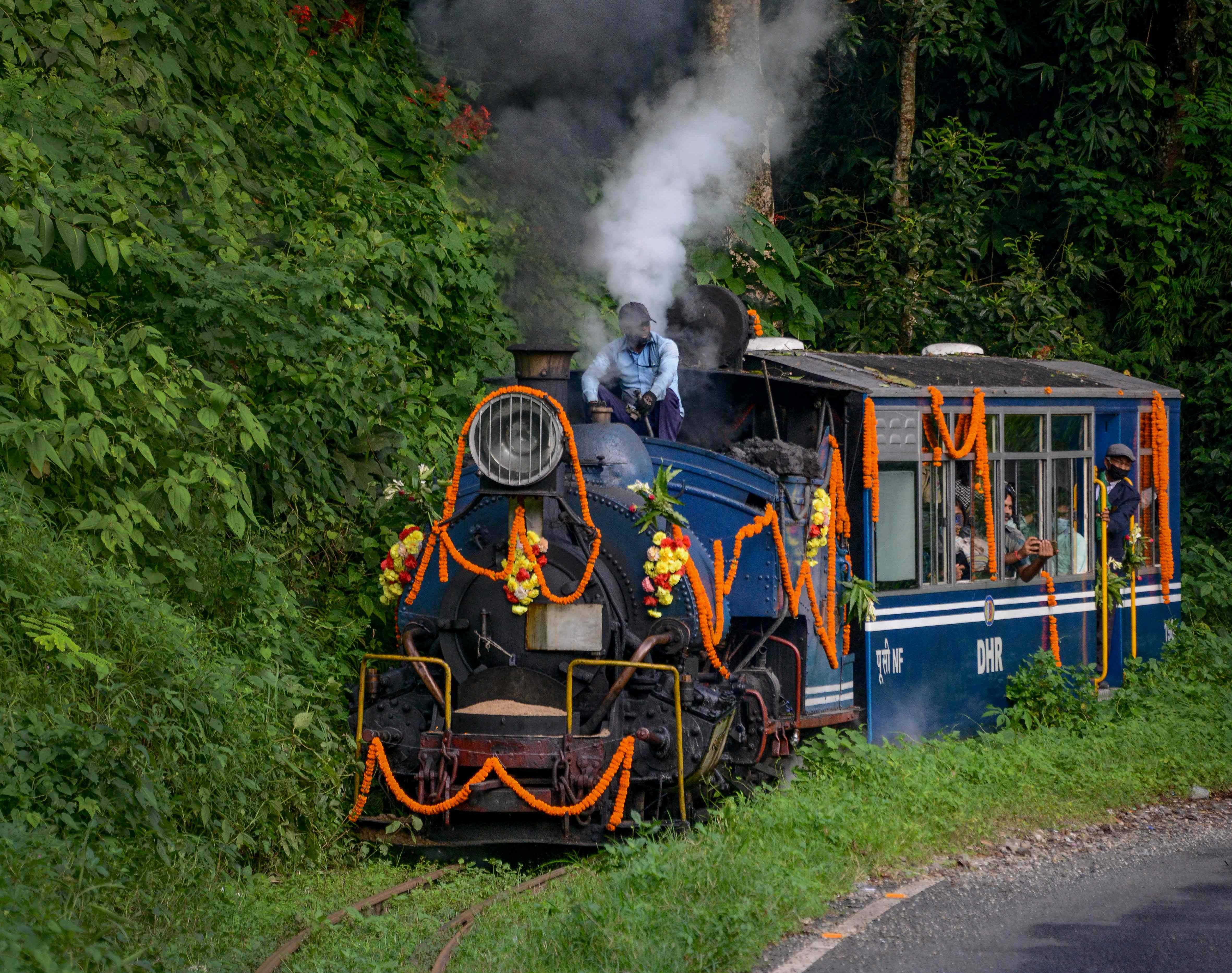 Now You Can Take A Jungle Tea Toy-Train Safari On The Darjeeling ...
