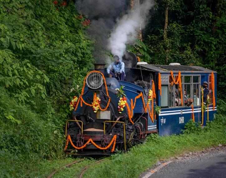 Now You Can Take A Jungle Tea Toy-Train Safari On The Darjeeling ...