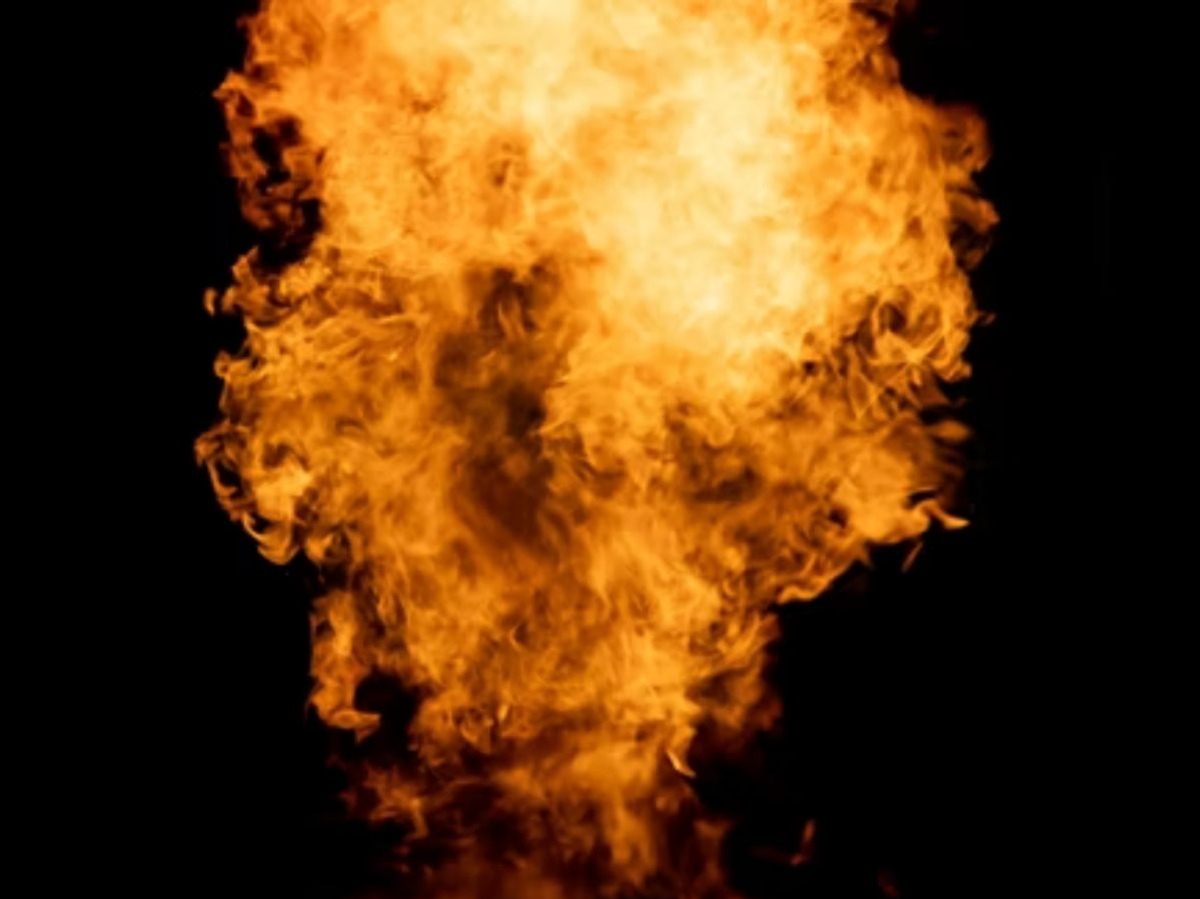 Assam Scientists Develop Cheap And Fast Explosives Detection Technique