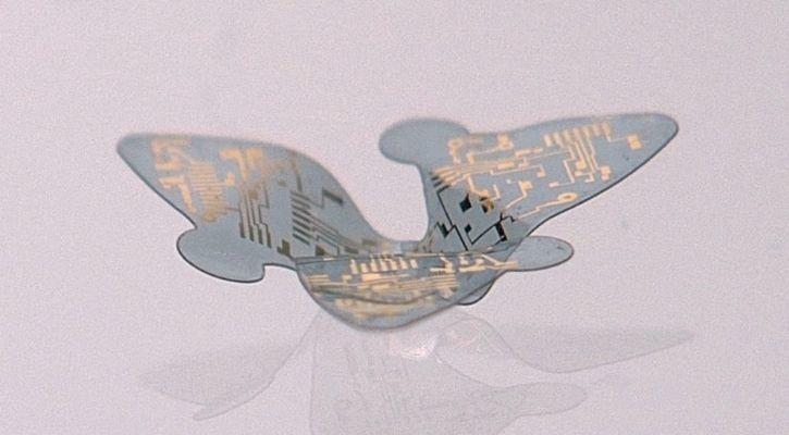 Smaller Than An Ant, World's Smallest Flying Robot Monitors Air Pollution