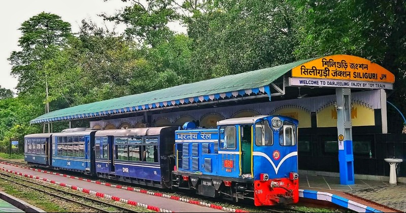 Railway Launches Regular Jungle Tea Toy-Train Safari From Siliguri
