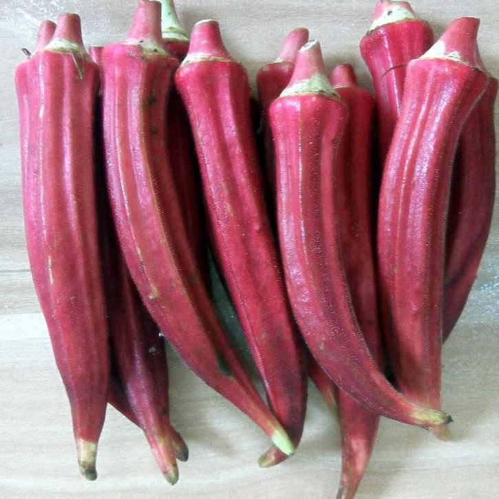 Kashi Lalima Bhindi: हरे रंग की भिंडी तो कई बार खाई होगी, लाल रंग की ...