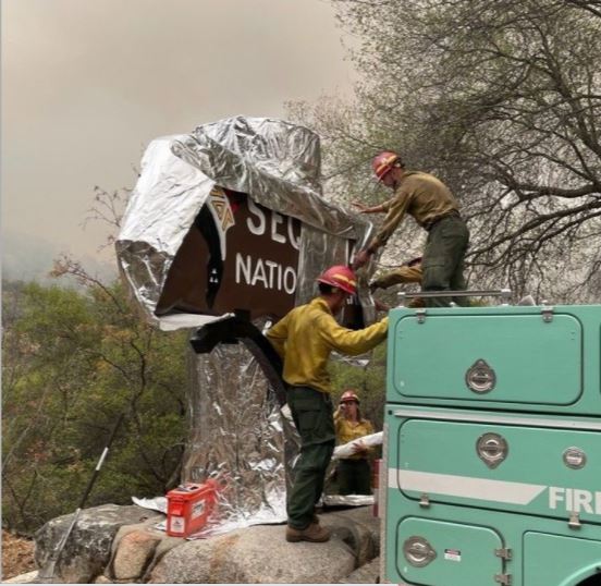 US Firefighters Battling To Save The World's Biggest Tree From Wildfires