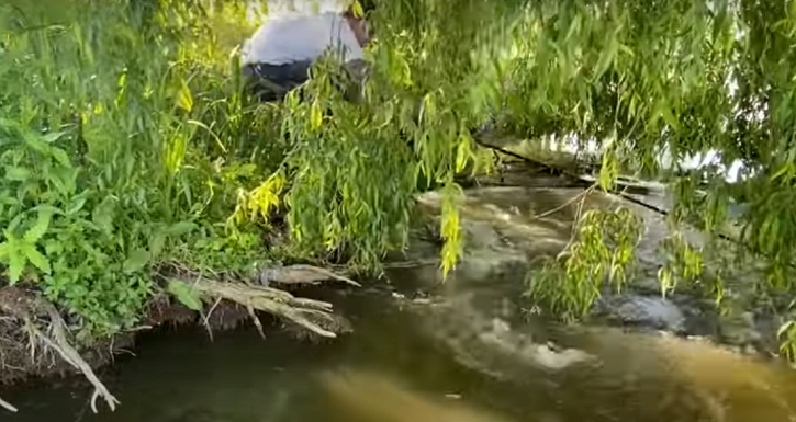 Fisherman Almost Gets Pulled In Lake