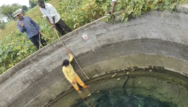 वीडियो: कुएं के अंदर फंस गया था अजगर, एक महिला ने अपनी जान जोखिम में ...