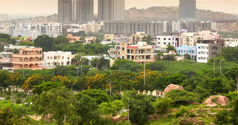 Explained: How A Country Gets The Status Of Tree City Of The World