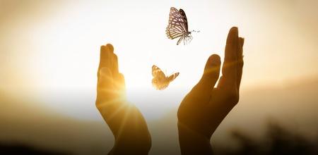 The Butterfly (And Moth) Effect