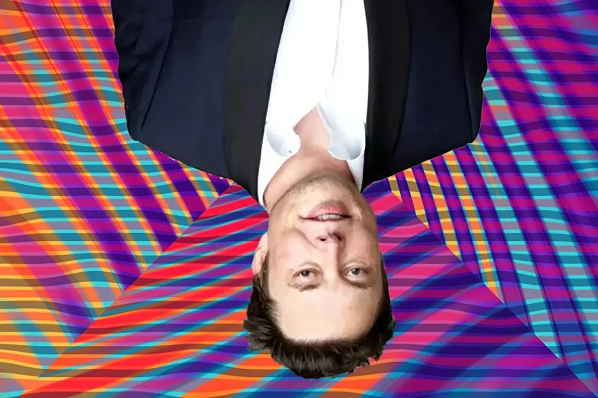 Elon Musk Optical Illusion