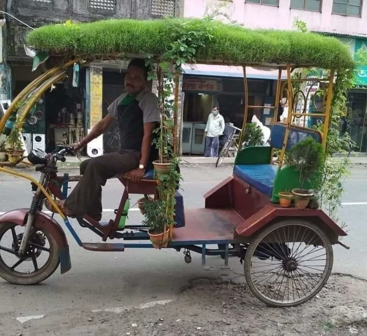 Man Turns Rickshaw into Mini Garden, Covers It With Grass And Plants
