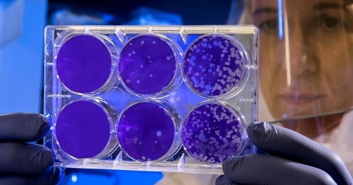 Methane-Consuming Bacteria Could Help Generate Electricity