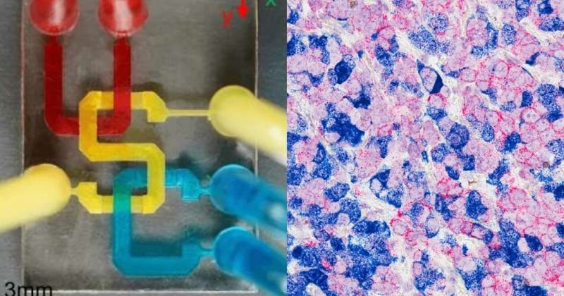 New 3D Printing Tech Could Make Detection Of Cancer Easier Than Ever Before
