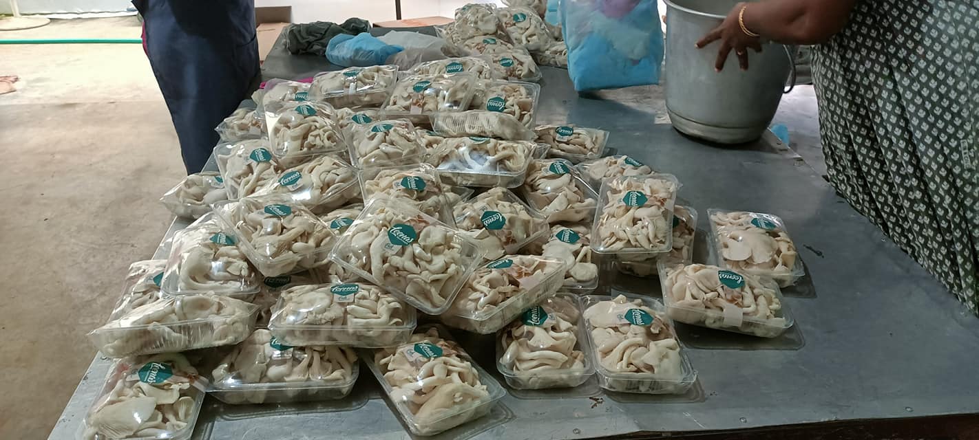 Meet The Mushroom Farming Mother-Son Duo Making Rs 40,000 A Day