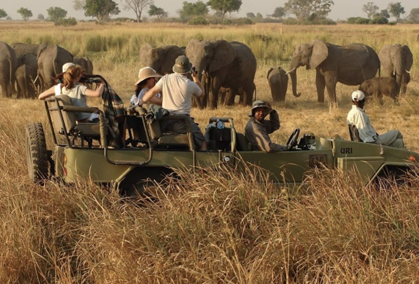 Four Men Booked For Raping Bengal Monitor Lizard In Maharashtra's ...