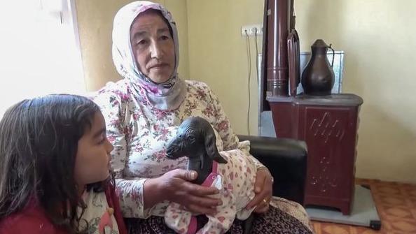 Mutant Goat Born Hairless And With Jet Black Skin