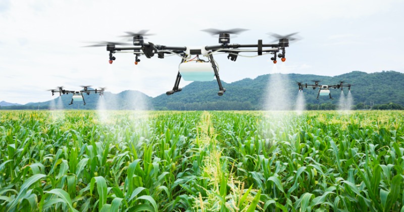 Explained: How Does Climate Smart Agriculture Help Adapt To And ...