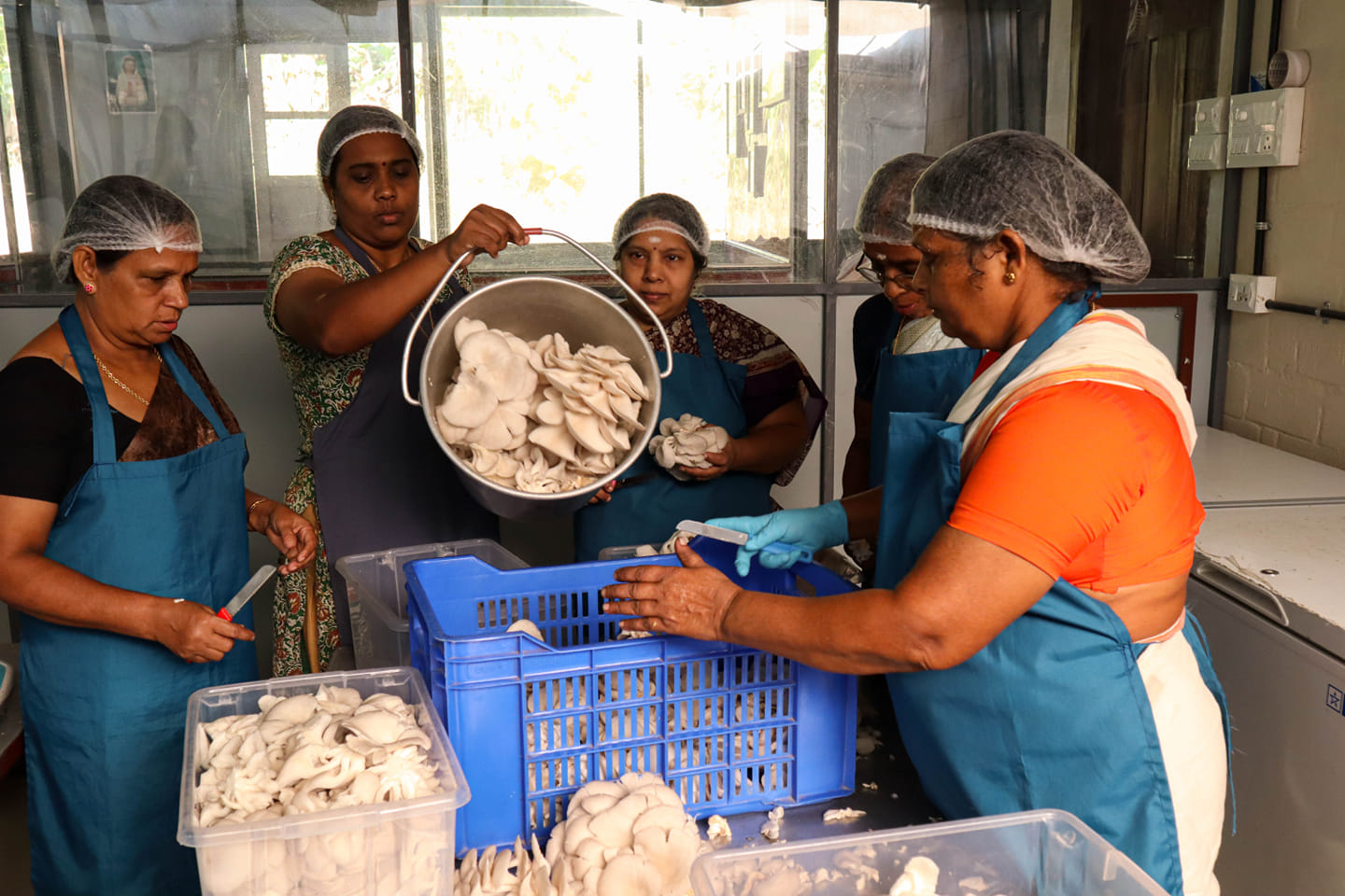Meet The Mushroom Farming Mother-Son Duo Making Rs 40,000 A Day