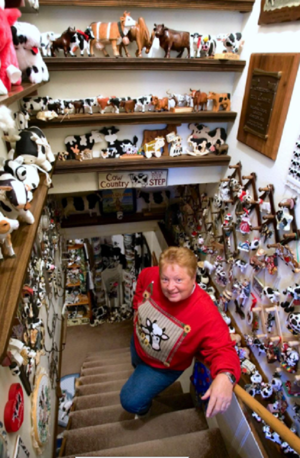 Guinness Book Of World Records: Woman Has Over 19,500 Cow-related Items ...