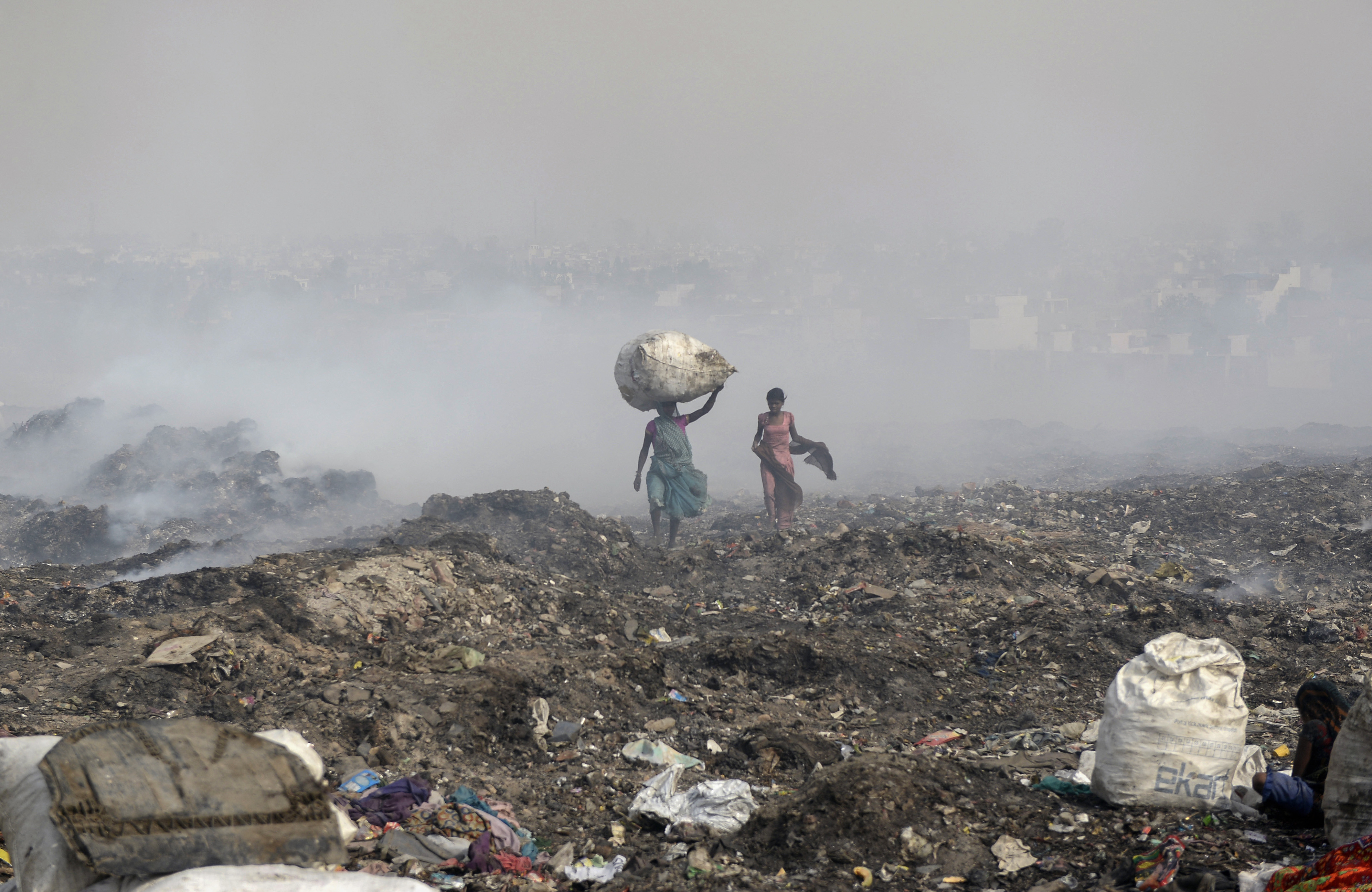 Explained: How Climate Change Is Worsening Infectious Diseases In The World