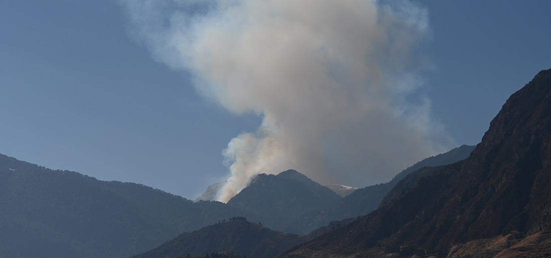 Explained: How Climate Change Is Worsening Infectious Diseases In The World