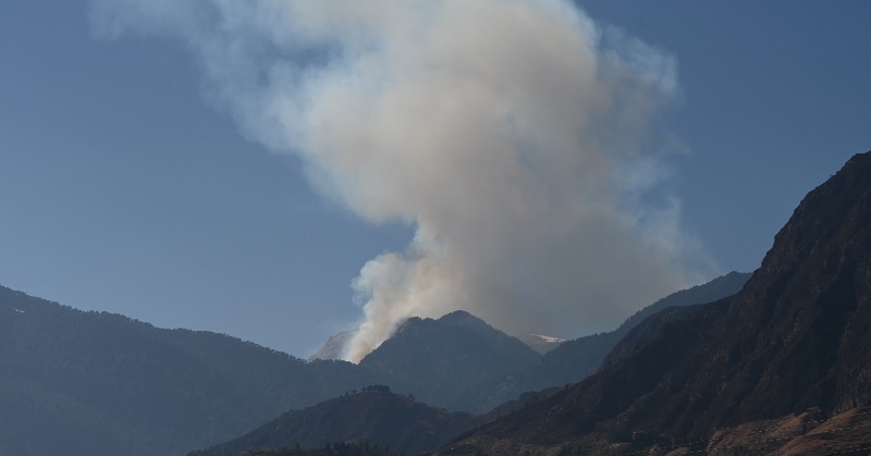 Explained: How Climate Change Is Worsening Infectious Diseases In The World