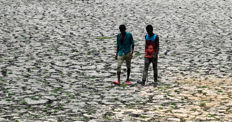 Explained: How Climate Change Is Worsening Infectious Diseases In The World