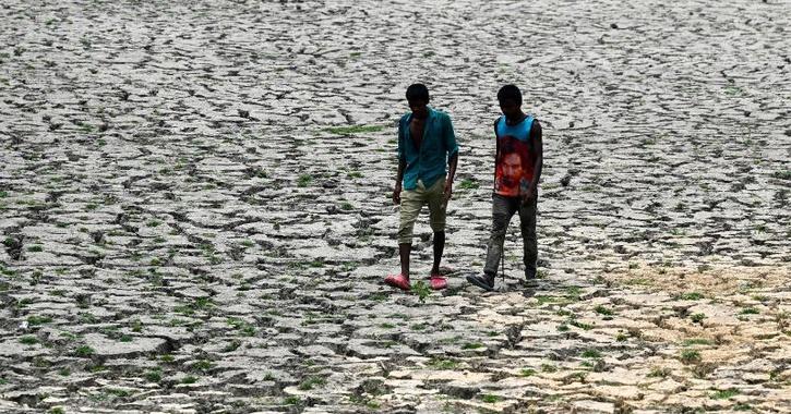 Explained: How Climate Change Is Worsening Infectious Diseases In The World